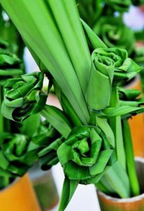 Crafts from Nature Materials Nusantara You Should Know - Idola Indonesia